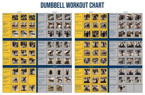 15 Dumbbell Exercises Chart Printable Workout Poster PDF American Templates