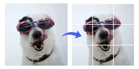 Image Splitter Free Online Tool To Split Images And Go