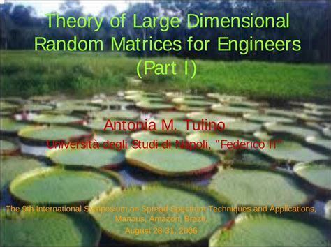 Pdf Theory Of Large Dimensional Random Matrices For Engineers · Theory Of Large