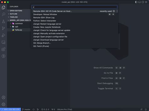 The Terminal Process Failed To Launch A Native Exception Occurred