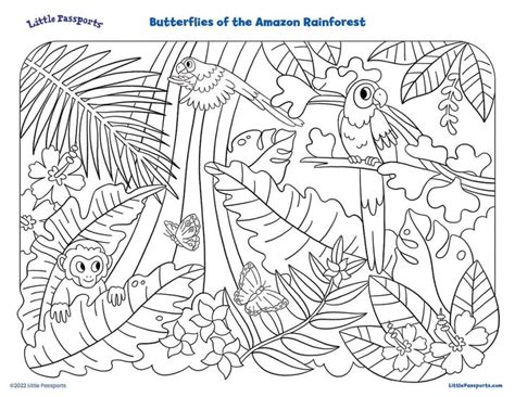 Amazon Rainforest Animals Coloring Pages At Jesse Lombard Blog