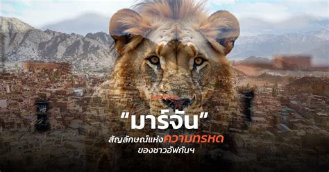 เรื่องราวของ มาร์จัน” สิงโต ‘ตาเดียว กับตำนานแห่งความทรหดที่ยังถูกเล่าขานถึงทุกวันนี้