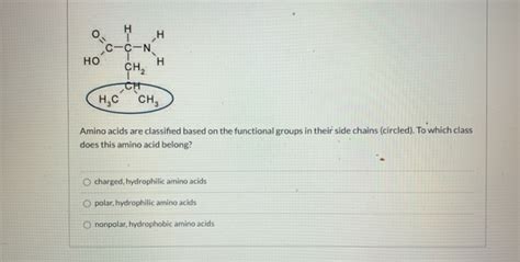 What Do Hydrophobic Amino Acids Have In Their Side Chains Sapjetherapy