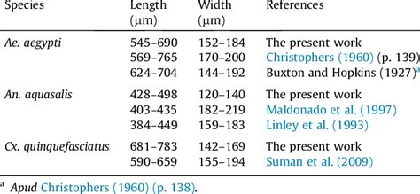 Comparative Mosquito Egg Linear Dimension Length And Width Ranges