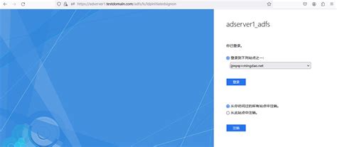 Microsoft Adfs Saml 使用说明 Hap 私有部署
