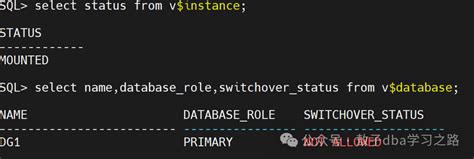 Oracle 19c单实例dg手动switchover切换主备库 墨天轮