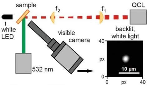 Best Images About Microscopy On Pinterest Dna Photos Of And Microscopic Images