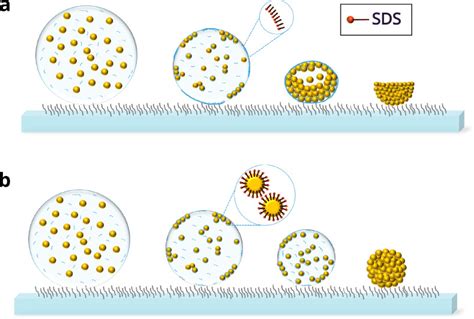 Tuning The Morphology And Structure Of Supraparticles Composed Of Ellipsoids Langmuir