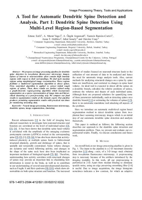Pdf A Tool For Automatic Dendritic Spine Detection And Analysis Part I Dendritic Spine