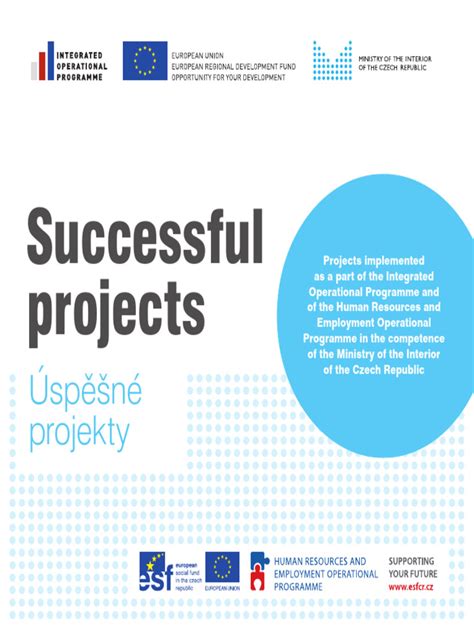 Succesful Projects Pdf E Government Employment
