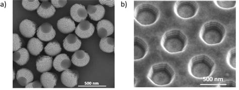 A Sem Image Of Ps Nanoparticles With The Hmm Coating After Their Download Scientific Diagram
