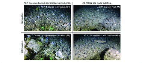 Example Image Of Each Type Of Substrate Class Used To Label Images