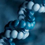 Oxford Nanopore Technologies Platform Solution