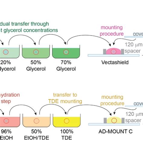 The Scheme Visualizes The Final Mounting Workflow Procedure Within The