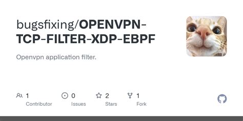 Github Bugsfixingopenvpn Tcp Filter Xdp Ebpf Openvpn Application