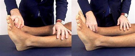 Lower Limb Pulses Cardio Exam Medbabe