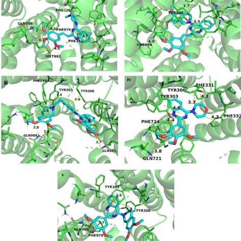 Binding Pose Of The Most Active Compounds 1 D I 1 E Ii 2 A Iii Download Scientific