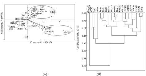 Principal Component Analysis A And Hierarchical Cluster Analysis B
