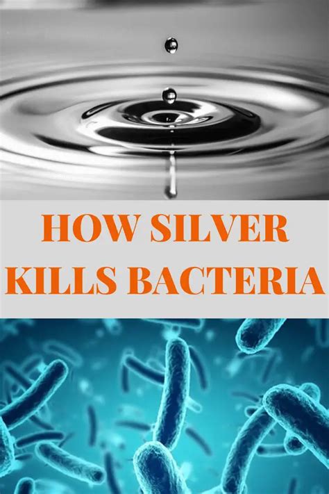 How Is Silver Antibacterial And Kills Bacteria