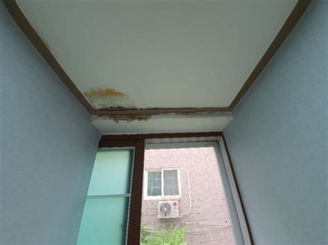 천장 곰팡이 왜 곰팡이 냄새는 건물 학원 천장에서 누수 😱 네이버 블로그