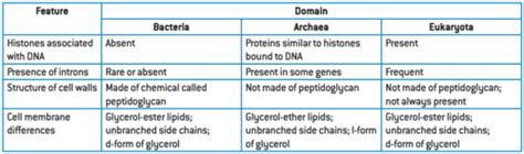 53 Classification Groups Flashcards Quizlet