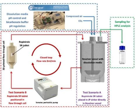 Application Of A Novel Revolver Apparatus For A Biorelevant Dissolution Test Of Ropinirole