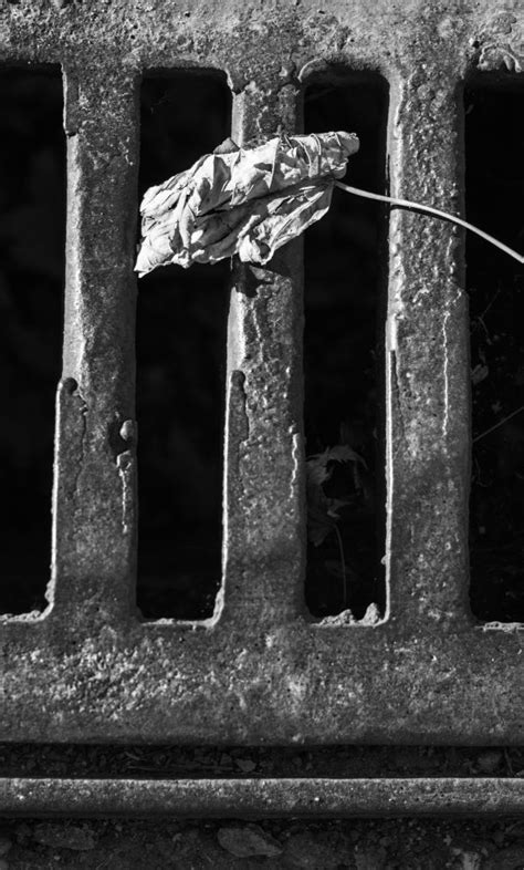 무료 이미지 열다 검정색과 흰색 건축물 화이트 거리 사진술 번호 건물 시티 분위기 색깔 매크로 검은 단색화 닫기 핸들 닫다 내각 미술