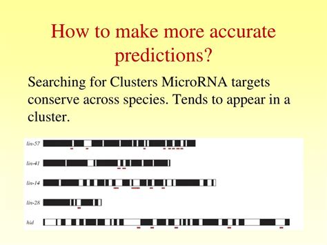 Ppt Predicting Rna Structure And Function Powerpoint Presentation Free Download Id1414496