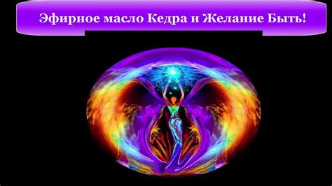 Эфирное масло Кедра и Желание Быть! Рекомендации др.Ульвия Голденбрук # ...