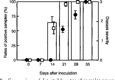 Figure 2 From Detection Of Fusarium Spp In Plants With Monoclonal