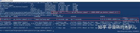Golang 打包到docker运行，最小镜像 知乎