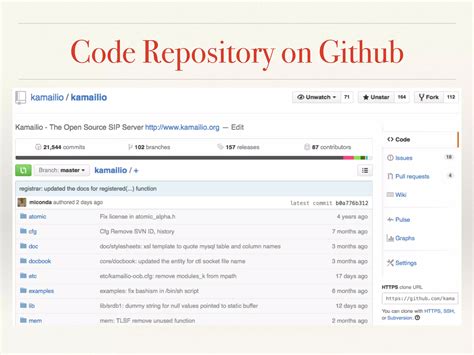 kamailio api based sip routing pdf