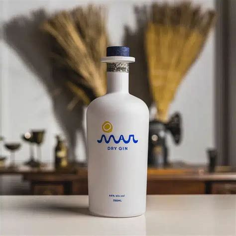 O Que é Gin Mapa Da Cachaça