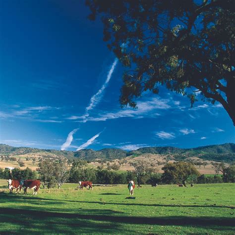 News And Adventure Page 4