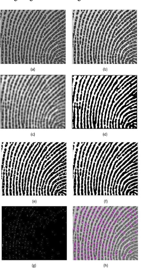 figure 2 from a pore based method for fingerprint liveness detection