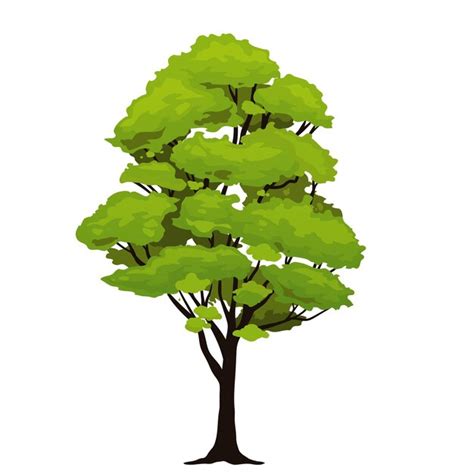 premium vector different tree design