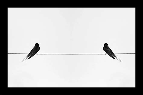 Structured Vs Unstructured Interviews Key Differences And Practical Applications Interviiews