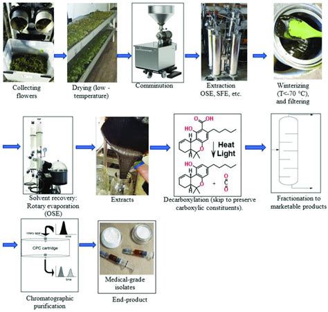 Process Flow Diagram Showing The Downstream Processing Steps Needed To