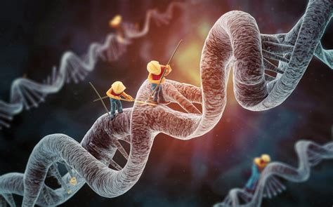 Scientists Have Created Viable Artificial Human Chromosomes What Are