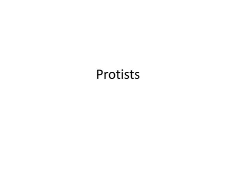 Ppt Protists Powerpoint Presentation Free Download Id 2273545