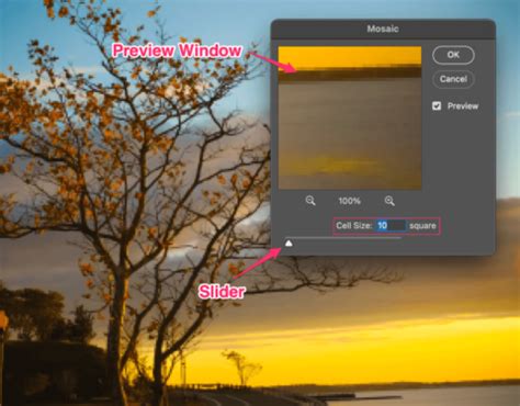 Pixelating Images Or Selections In Photoshop Steps