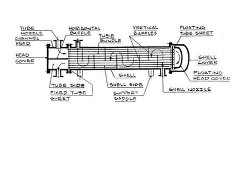 Lecture Final Flashcards Quizlet