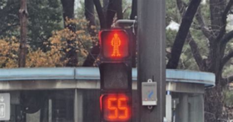 파란불 언제 오나빨간불 남은 시간 알려주는 신호등 생겼다