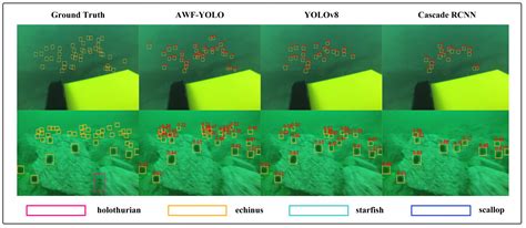 Awf Yolo Enhanced Underwater Object Detection With Adaptive Weighted
