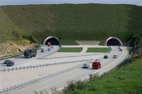 გორის გვირაბის ჩაკეტვის გამო კონტრაქტორი კომპანიები 72 889 ლარით დააჯარიმეს Imedinews