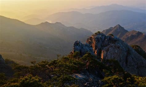 성주 출신 연예인 프로필 모음 아이돌 가수 배우 여배우 남배우 여자 배우 남자 배우 남자 연예인 여자 연예인 여가수 남가수 야구선수 축구선수 개그맨