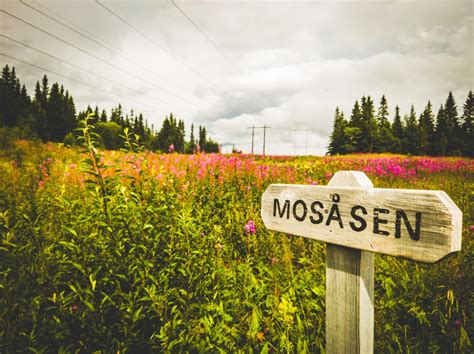 Different Editing Both Pro And Auto Mode Rsonyxperia