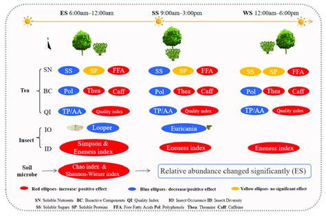 Effects Of Ecological Shading Of Roadside Trees On The Soluble Download Scientific Diagram