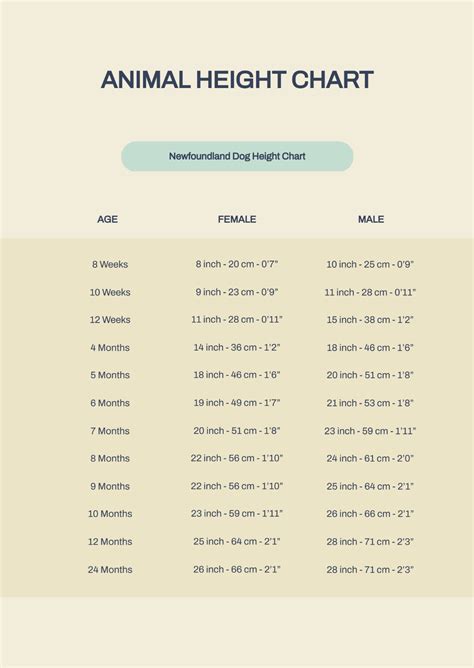 Height Chart Template Height Chart Template
