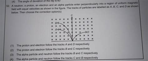 a neutron a proton an electron and an alpha particle enter perpendicula